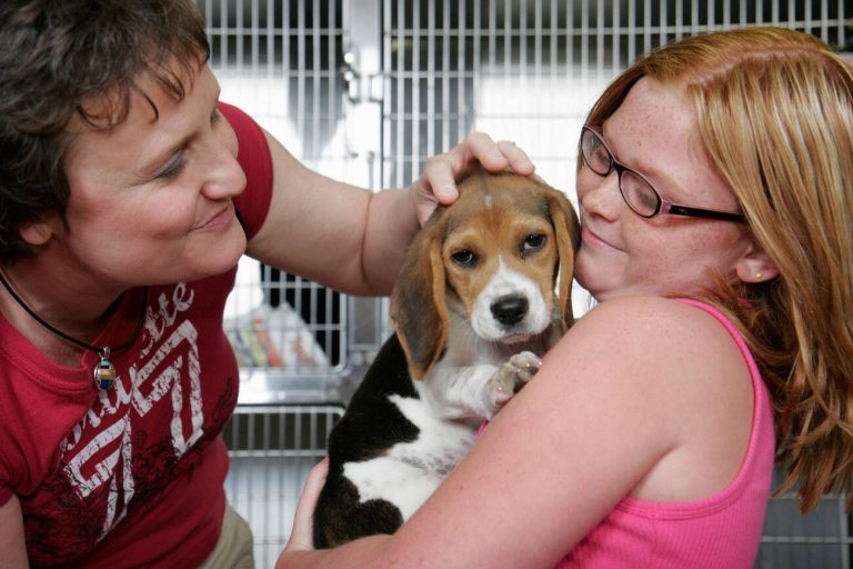 Benefits of Adopting a Pet – The Pet Adoption Journey